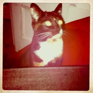 Collections Graeme Haig (@grimwold1980) has discovered on Designspiration