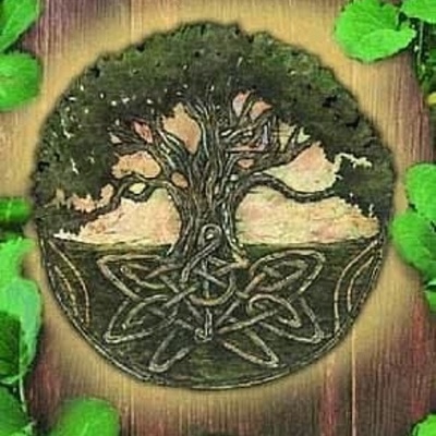 Druid Tree images on Designspiration