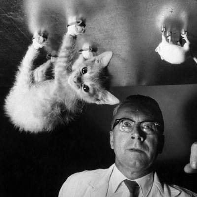 Arch Layout images on Designspiration