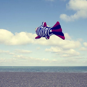 Collections Ana Du (@anadu) has discovered on Designspiration