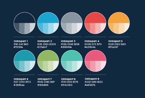 UI Design, Color Palettes, and Print Design image inspiration on ...