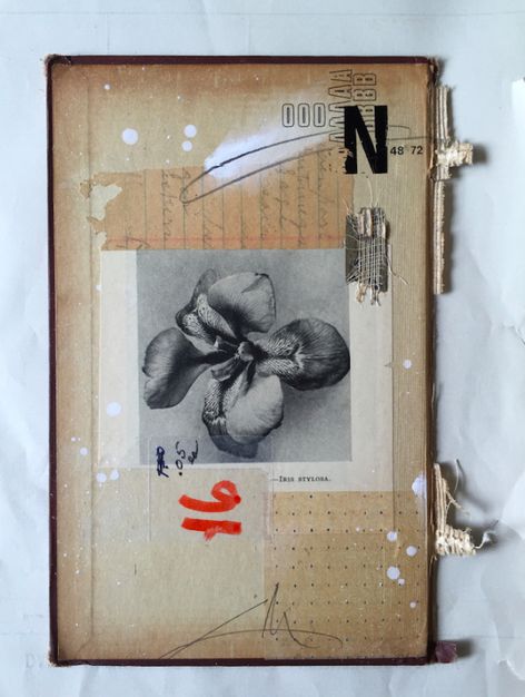 collage, ideas, graphic design, mood board, and graphic image ...