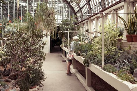 Plants, Homes, and Houses image inspiration on Designspiration