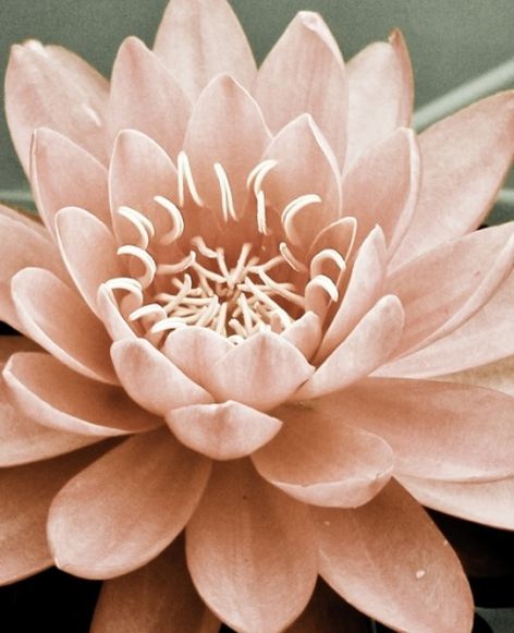 Creative texture, photography, pattern, mood, and lights image ideas ...