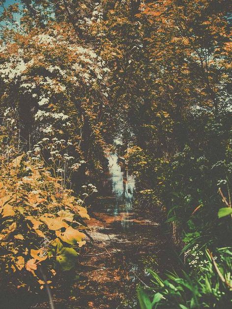 Photography, Water, Home Screens, Print Design, and Homes image ...