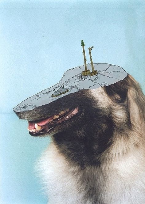 Random Creative Inspiration on Designspiration