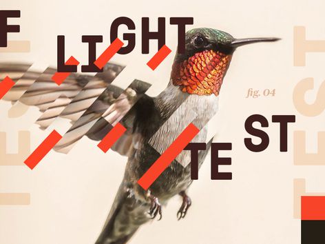 Creative Music Posters Inspiration on Designspiration