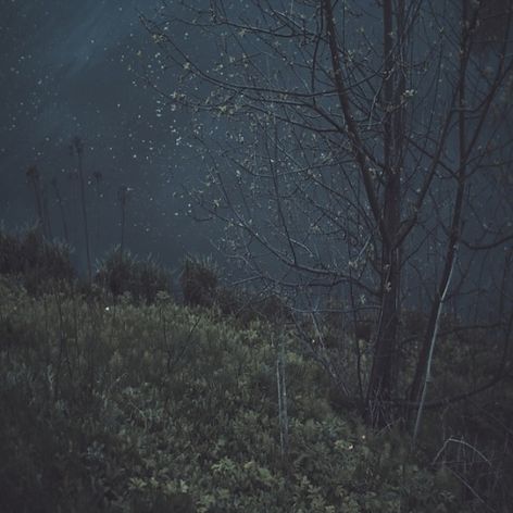 #404040 Hex Color Inspiration on Designspiration