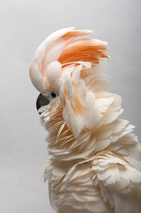 Photography, Color Palettes, DIY, Art Installations, and Visual Art ...