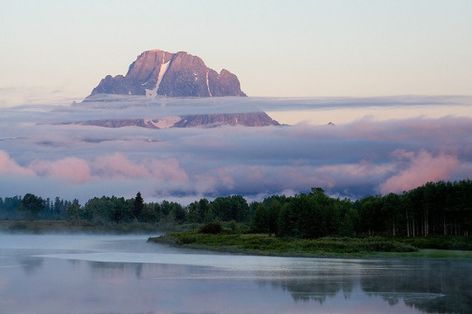 Nature Inspiration on Designspiration