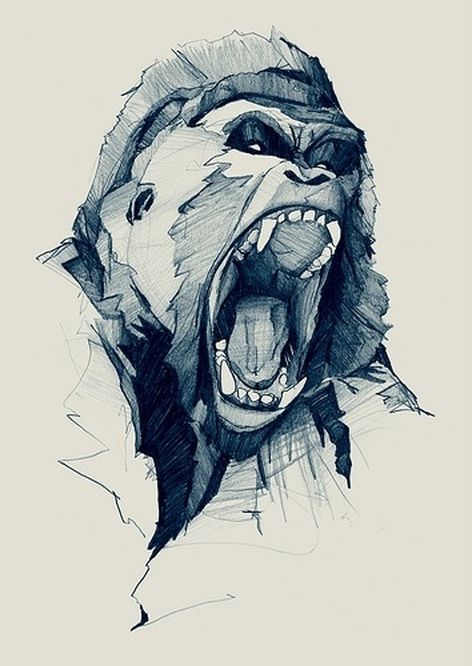 Illustrations, Art, Digital Art, Tumblr Illustrations, and Recipes ...
