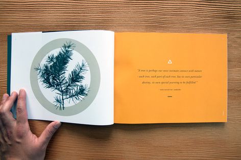 Creative book, layout, editorial, type, and book design image ideas ...