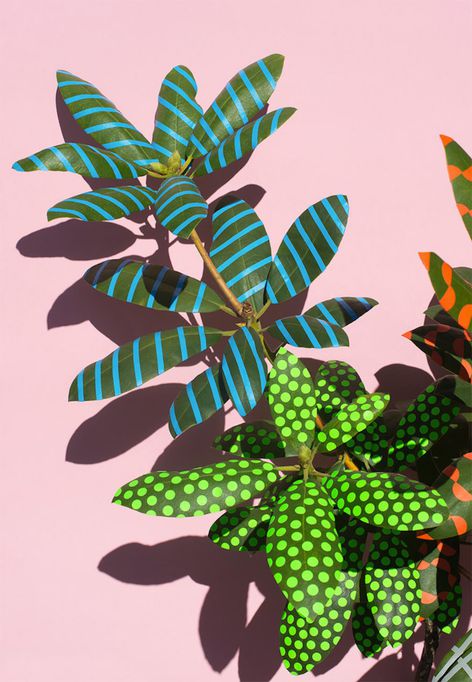 Photography, Posters, Illustrations, Branding Identity, and Art ...