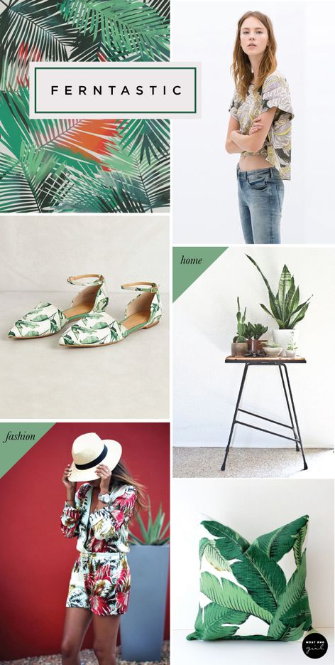 Creative photography, plant, nature, flower, and album cover image ...