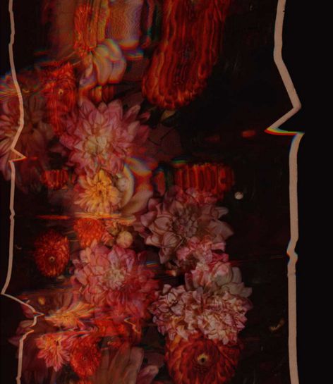 Photography image inspiration on Designspiration