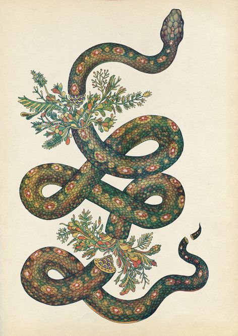 Illustrations and Art image inspiration on Designspiration