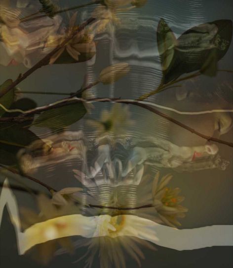 Photography image inspiration on Designspiration