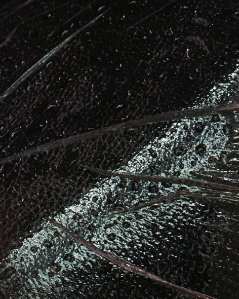 pattern, abstract photography, pattern design, yearbook design, and ...