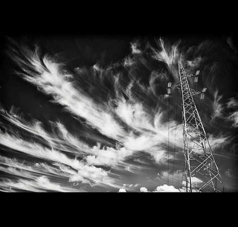 Color Palette generated based on #090909, #2F2F2F, #5E5E5E, #A1A1A1 ...