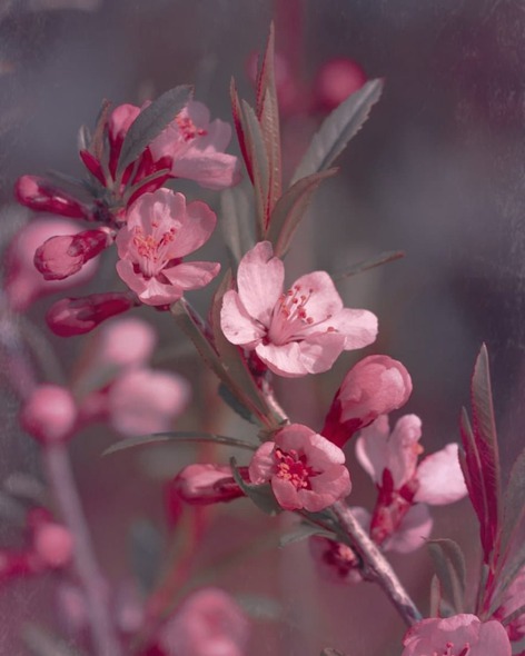 Decor image inspiration on Designspiration