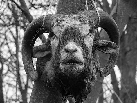 Color Palette generated based on #141414, #4D4D4D, #919191, #CDCDCD ...