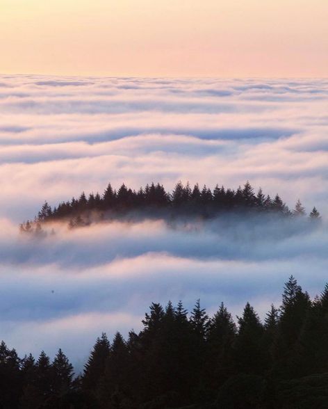 mood board, adventure, adventure travel, mood, and board image ...