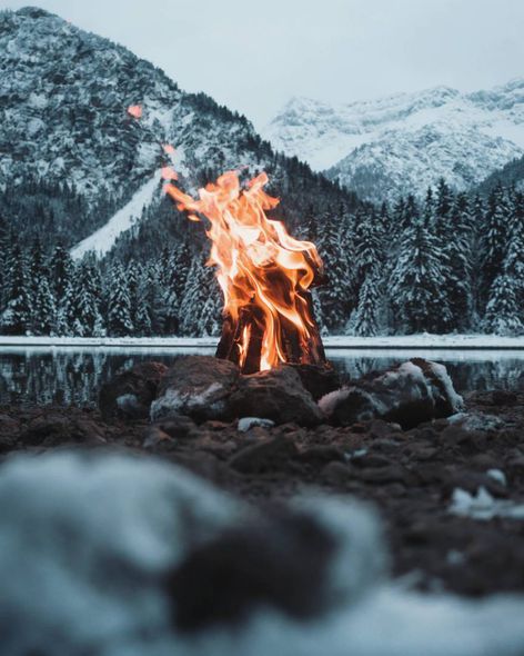 mood board, adventure, adventure travel, mood, and board image ...