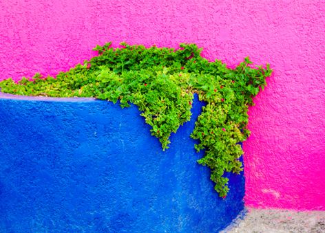 Photography, Color Combos, Illustrations, Phone Backgrounds, and Color ...