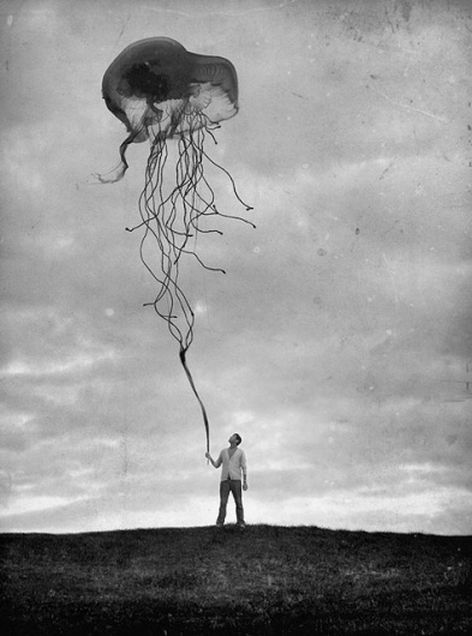 Creative photography, pop art, surrealism photography, face art, and ...