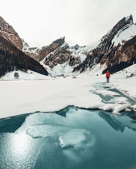 mood board, adventure, adventure travel, mood, and board image ...