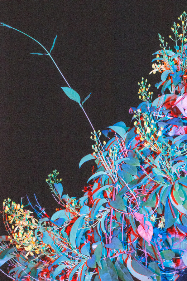 Photography image inspiration on Designspiration