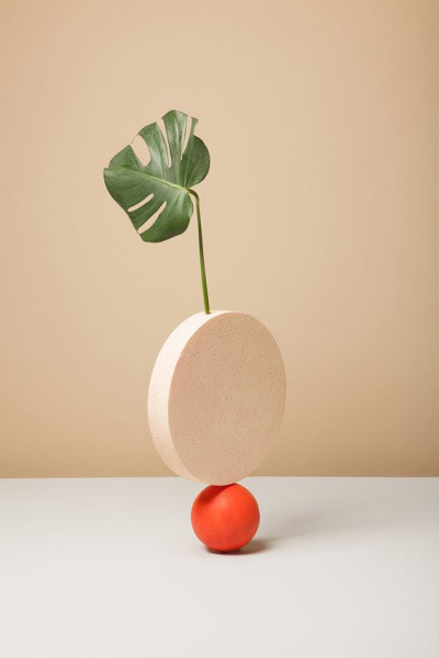 Photography, Color Palettes, and DIY image inspiration on Designspiration