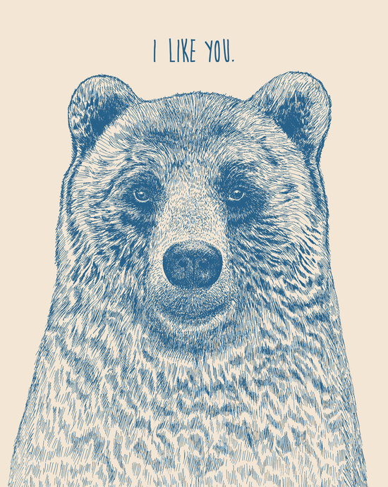 Illustrations, Bears, and Animales image inspiration on Designspiration