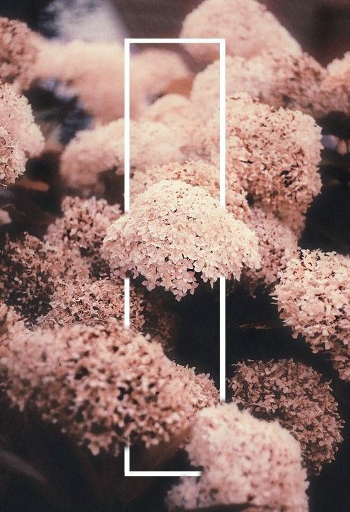 Photography and Print Design image inspiration on Designspiration